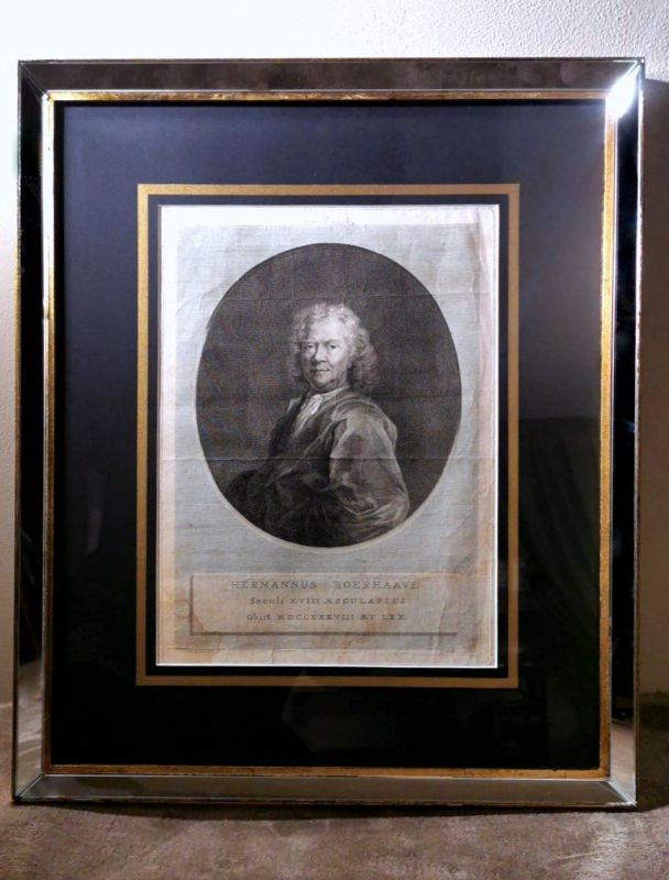 Antique Print with Mirror Frame and Gold Depicting Dutch Doctor